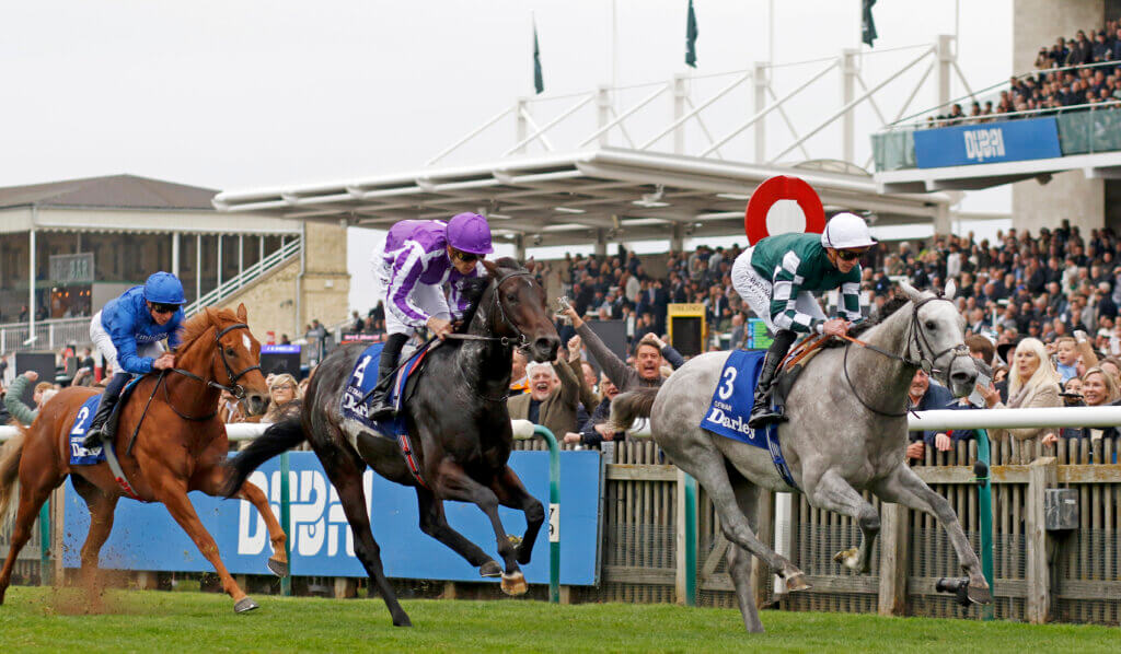 Gewan crowned Timeform's Champion Juvenile Colt of 2025 - Ace Stud